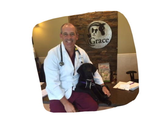 Best Vet Hospital in Lexington, SC | Grace Animal Hospital