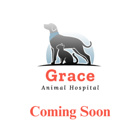 Veterinarian in Lexington, SC 29072 | Grace Animal Hospital